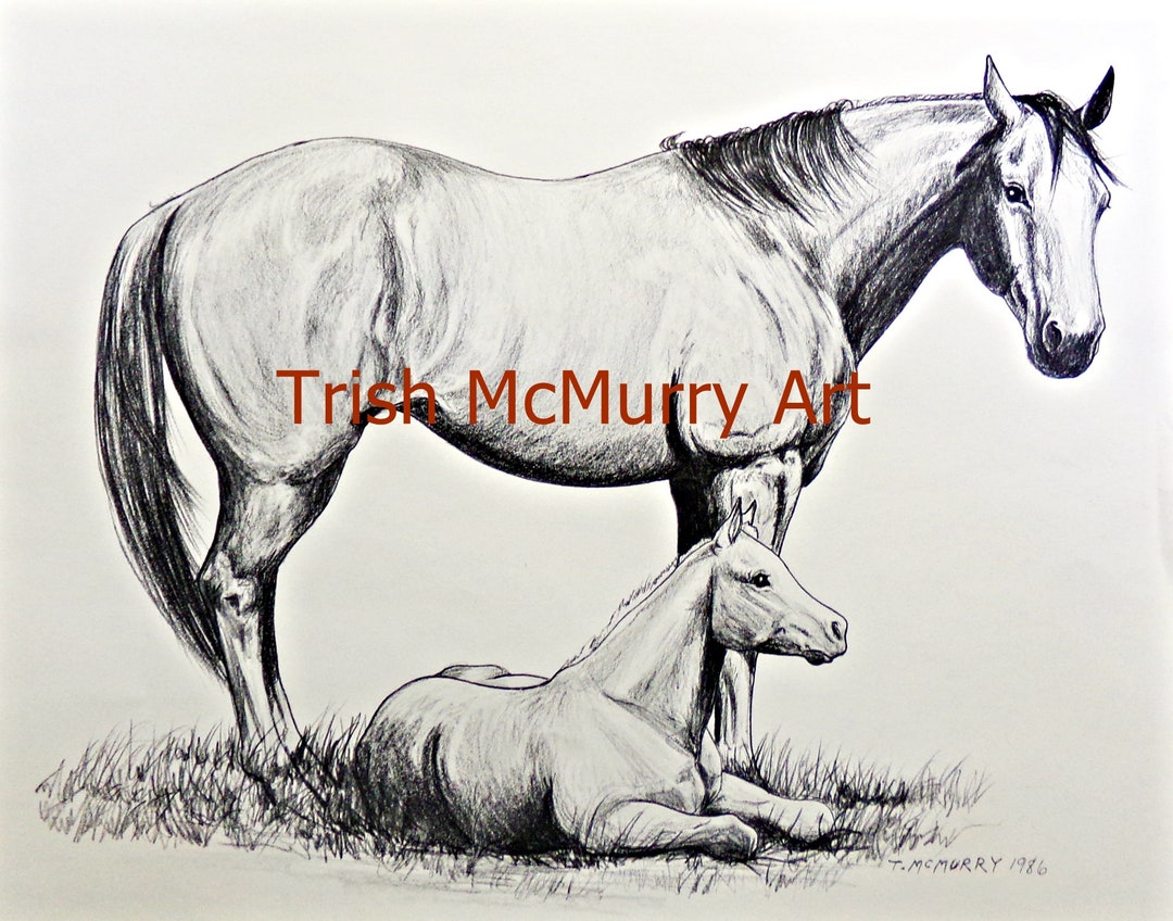 Vintage Quarter Horse Mare and Colt Print: Rustic Southwestern Pencil ...
