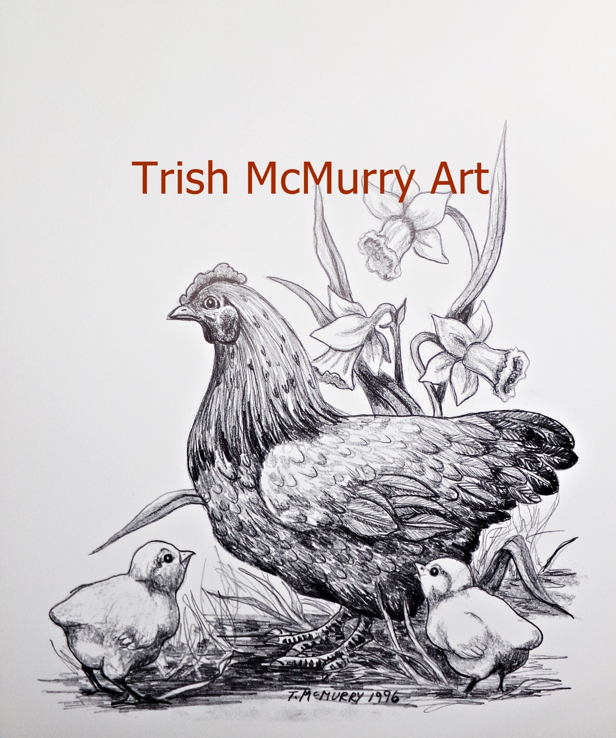 Pencil Drawing Of Roosters And Hens