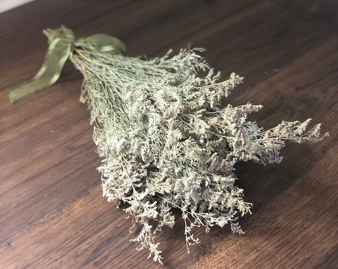 Bunch of Preserved Medium Blue Misty Blue Caspia Blue - Etsy