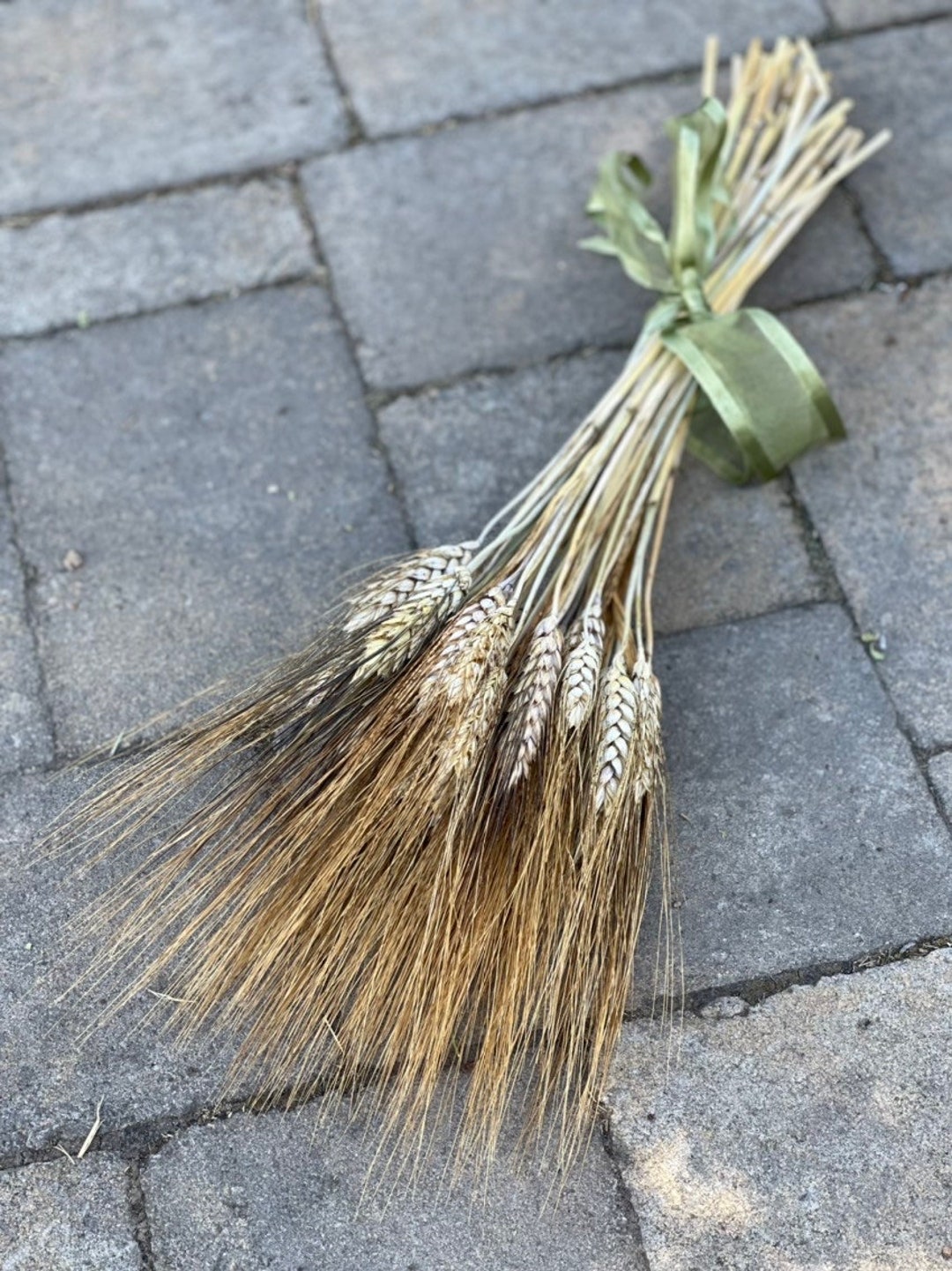 Dried Black Tip Wheat Bunch, Natural Durum Wheat, Fall Decor - Etsy