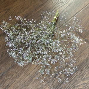 Small Bunch Pink Dried Baby's Breath, Lavender Dried Gypsophila ...