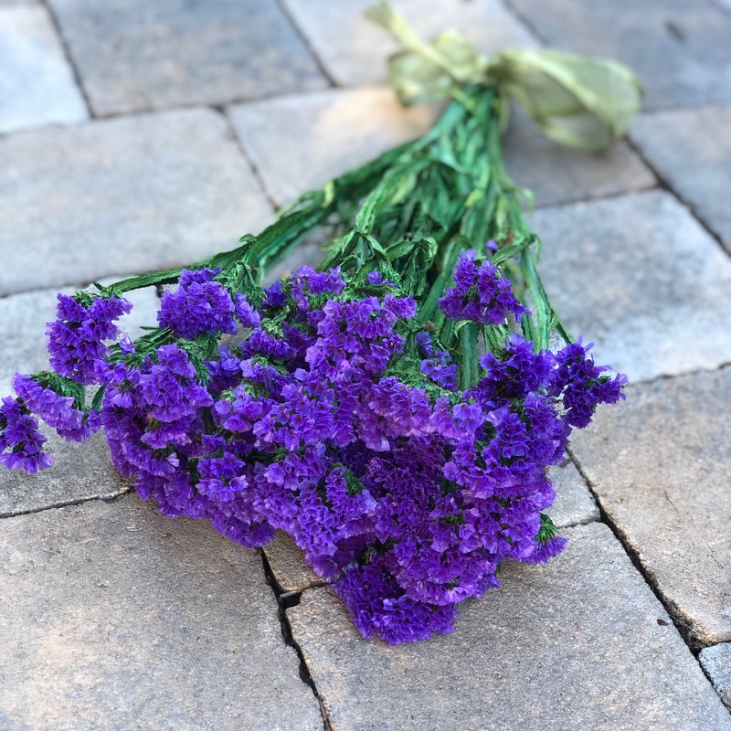 Purple Dried Flower - Etsy