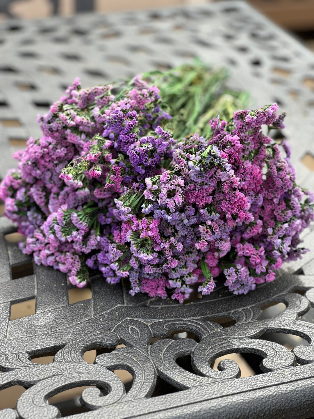 PRESERVED Pink and Purple Statice, Statice, Sinuata Statice, Limonium ...