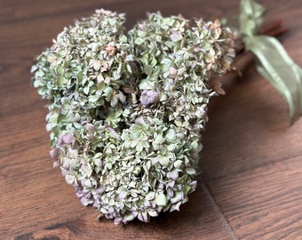 Dried Hydrangea Stems Dried Hydrangeas Hydrangea Macrophyla - Etsy