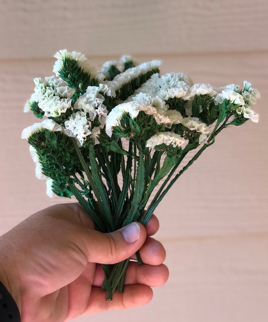White Preserved Statice Short Stems for Crafting Crowns - Etsy