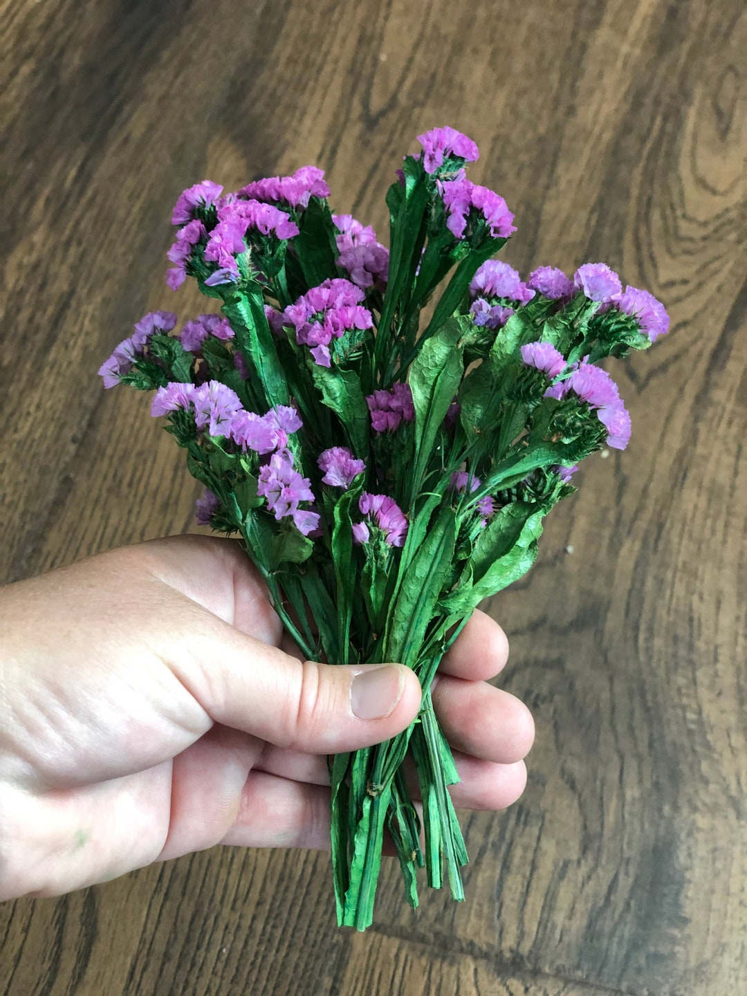 Pink Preserved Statice Short Stems for Crafting, Crowns, Wreaths - Etsy