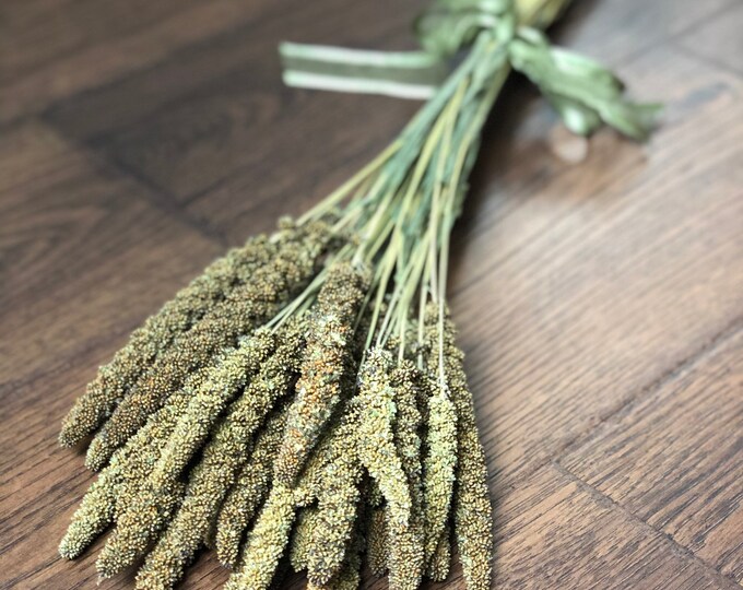 Dried Millet Bunch, Dried Millet Bouquet, Dried Millet, Dried Grains ...