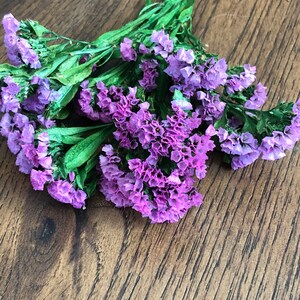 Pink Preserved Statice Short Stems for Crafting, Crowns, Wreaths - Etsy