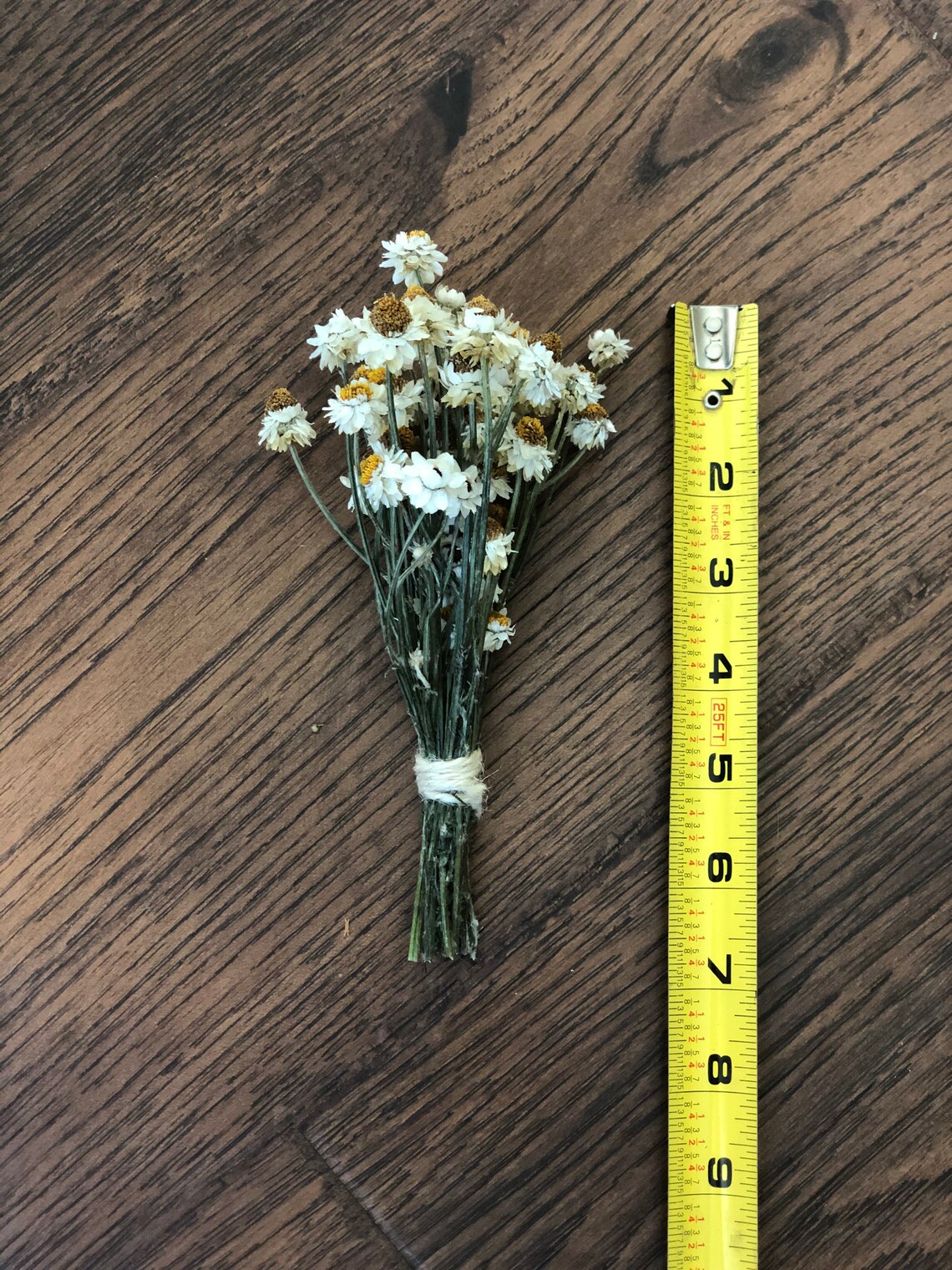 Dried Ammobium Mini Bouquet Dried Mini Daisy Bouquet Gift | Etsy