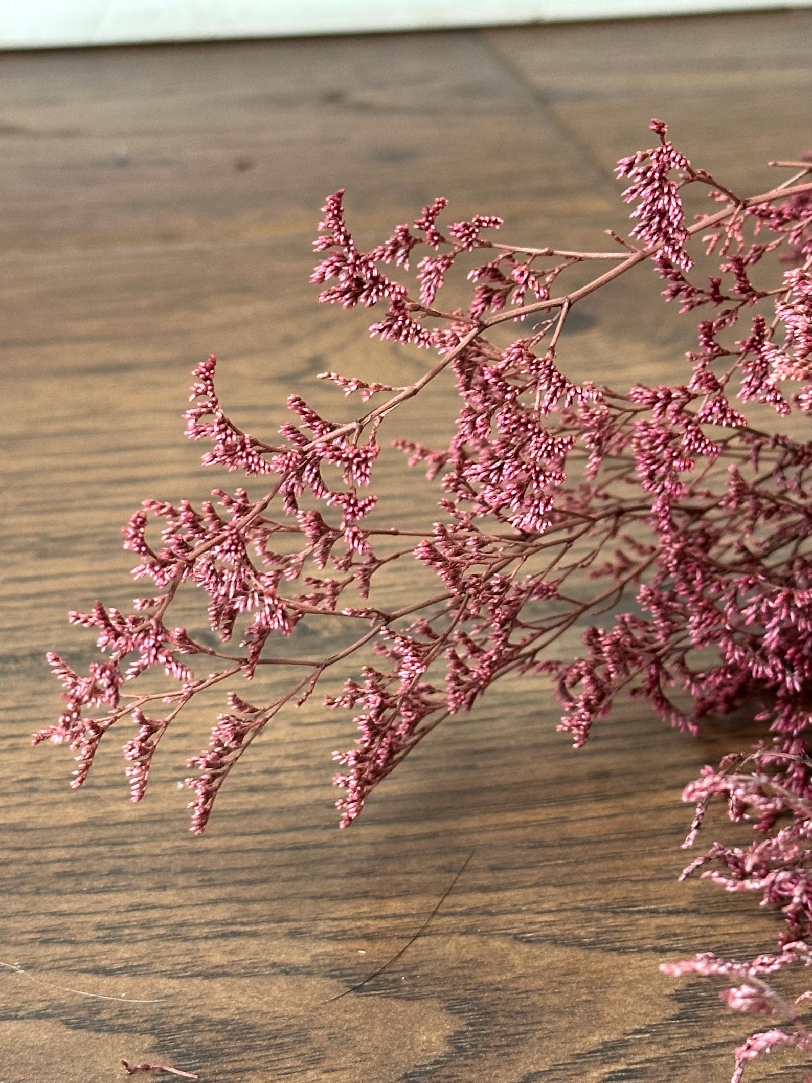 Preserved Rose Pink Caspia, Dried Misty Filler Flower, 4oz Bunch - Etsy