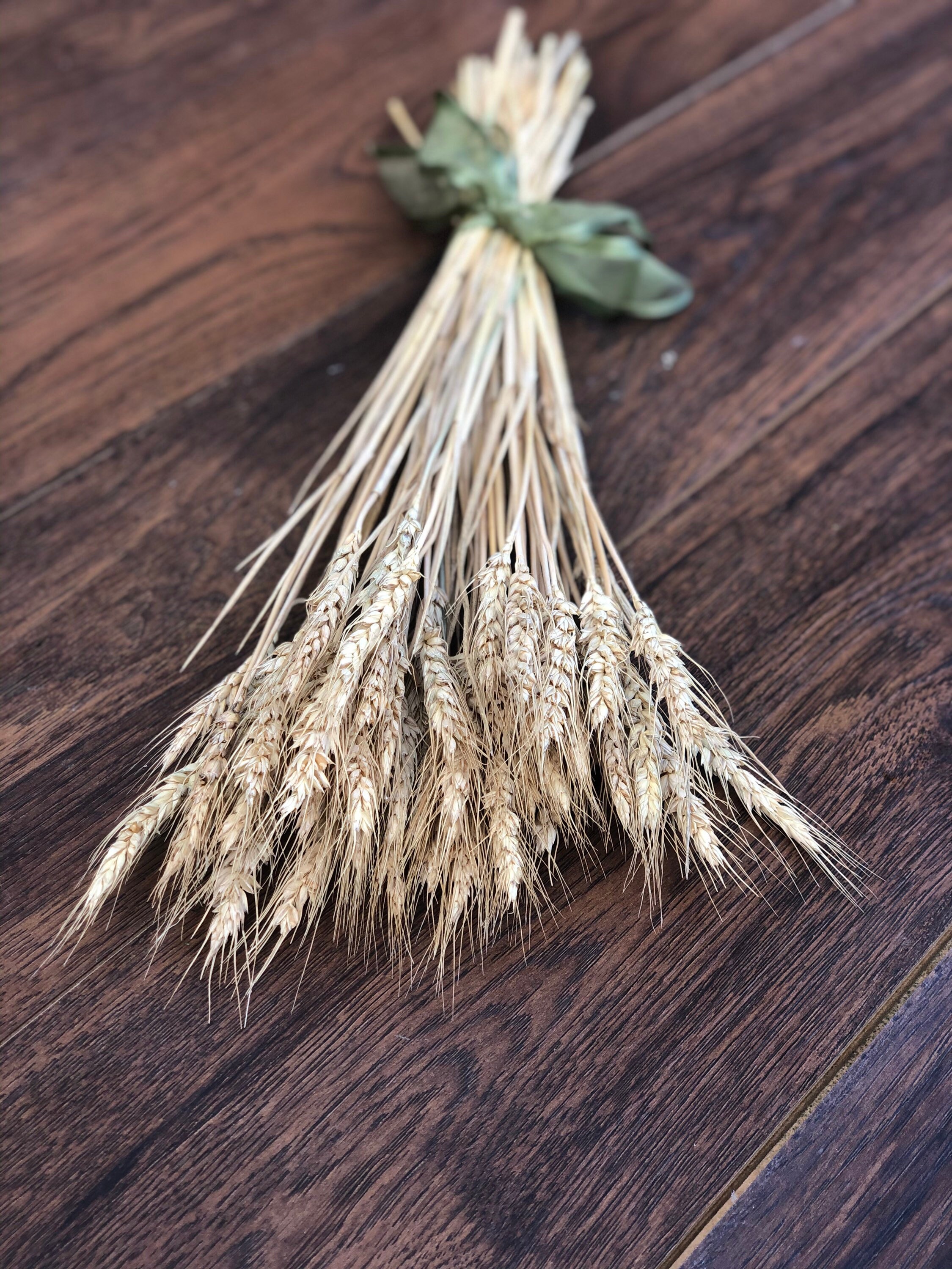 Dried Bearded Wheat Dried Wheat Decorative Wheat Blonde - Etsy