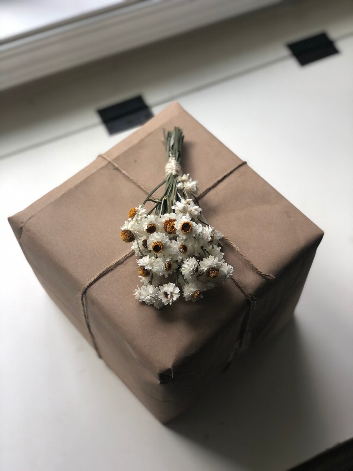 Dried Ammobium Mini Bouquet Dried Mini Daisy Bouquet Gift | Etsy