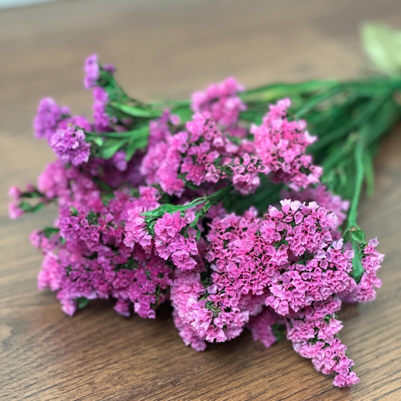 Statice Seeds - Etsy