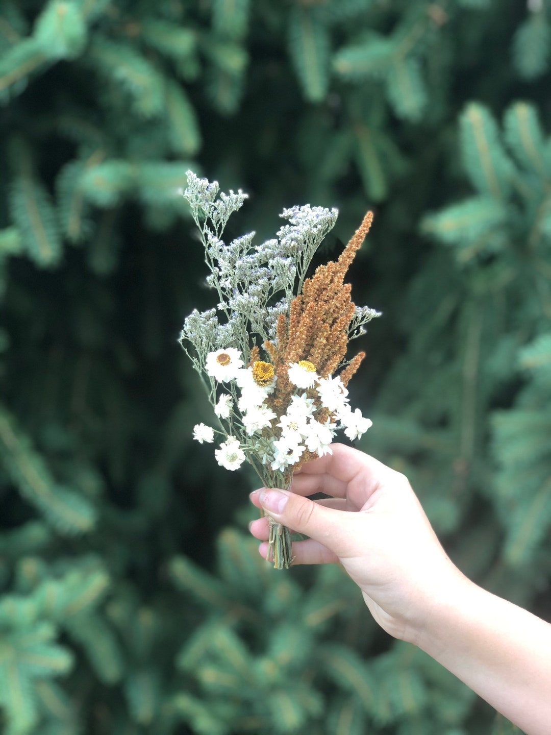 Dried Fall Mini Bouquet, Dried Mini Daisy Bouquet, Gift Topper, Wedding ...
