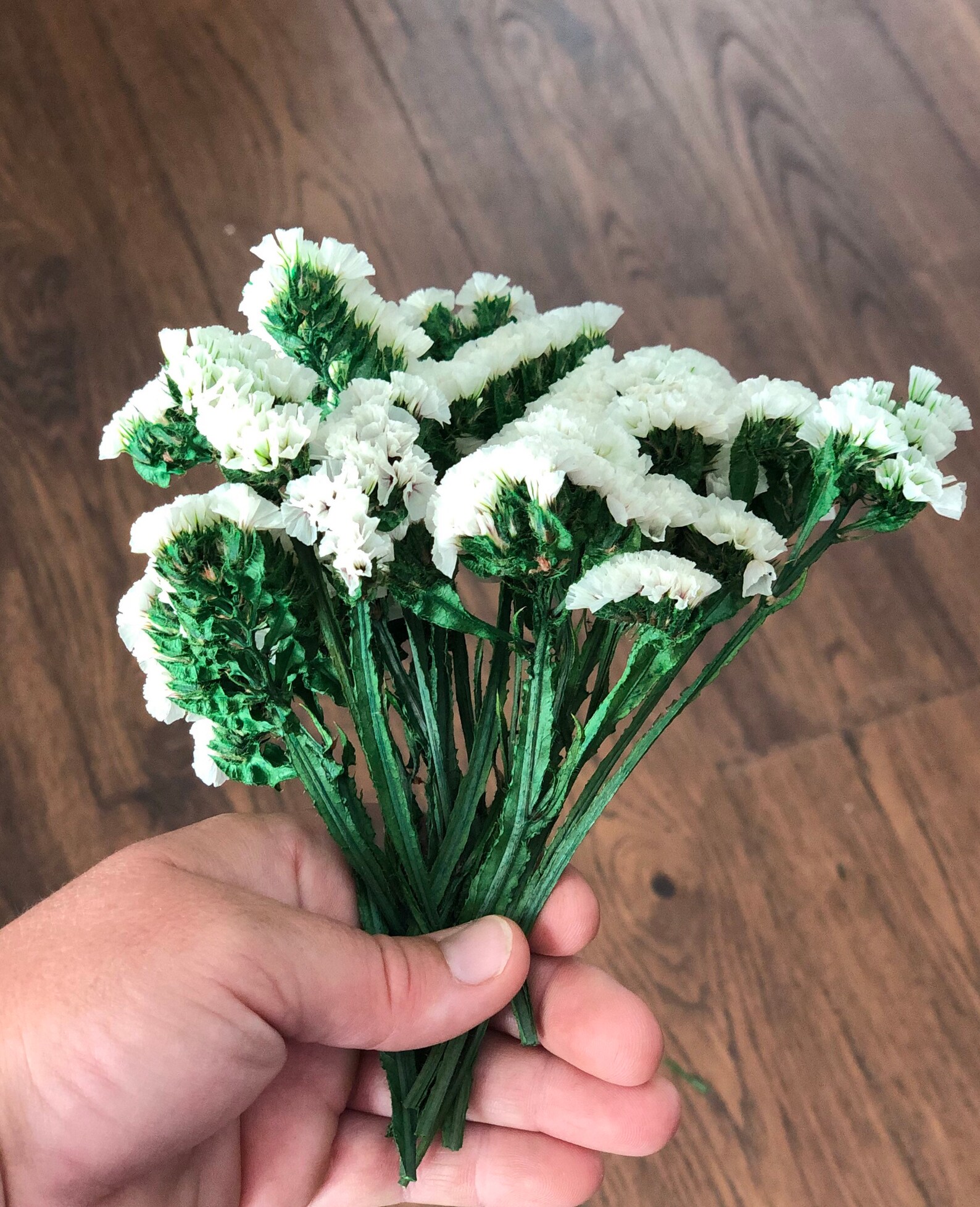 White Preserved Statice Short Stems for Crafting Crowns - Etsy