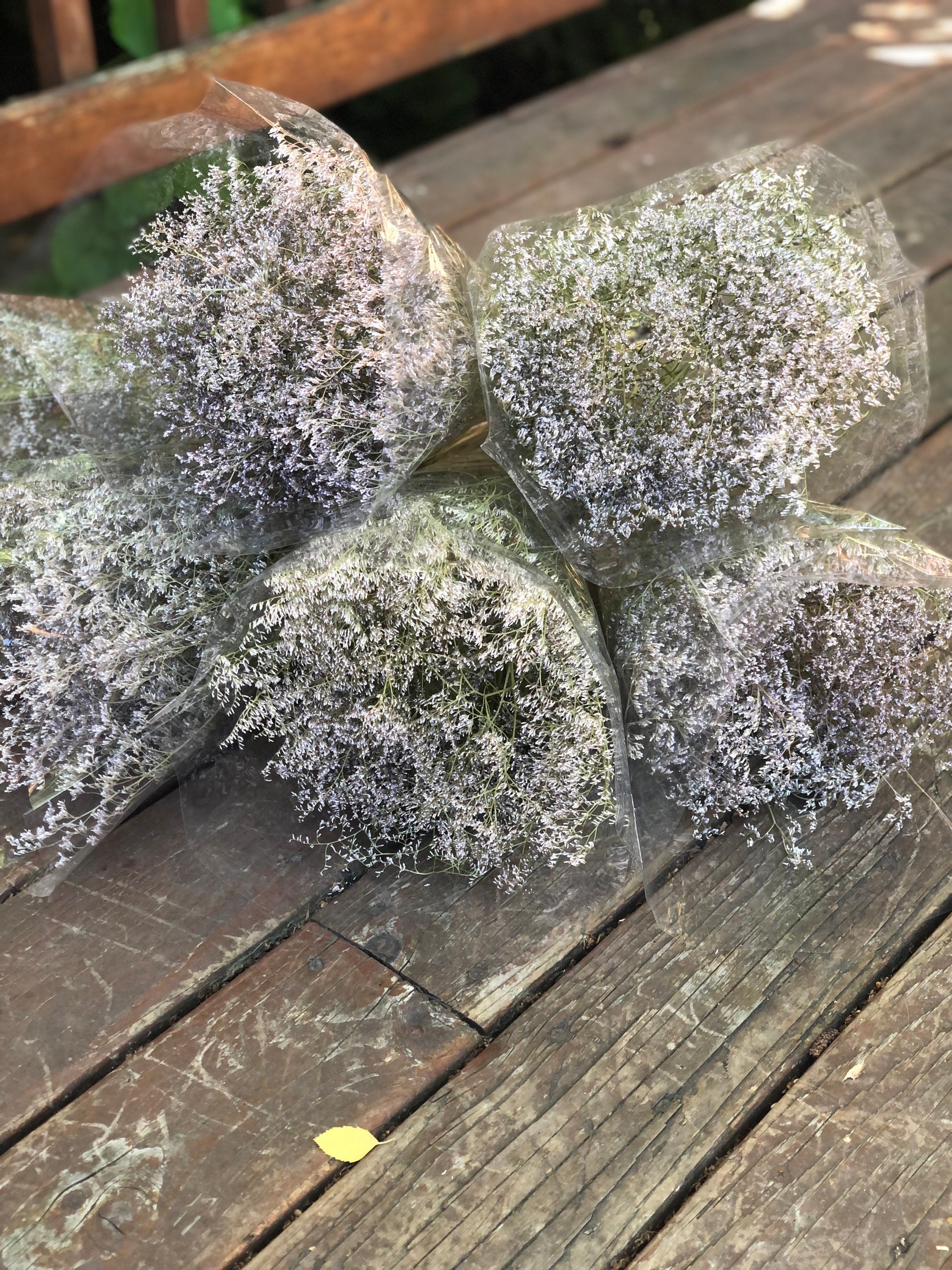 Dried Sea Lavender Natural Dried Sea Lavender Rustic Flowers | Etsy