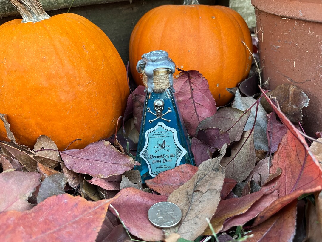 Draught of the Living Dead Magic Potion - Etsy