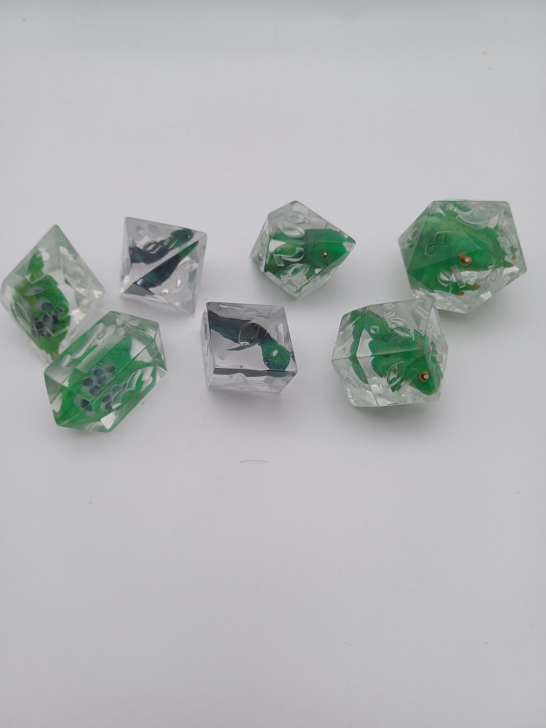 Oversized Frog Life Cycle RPG Dice - Etsy