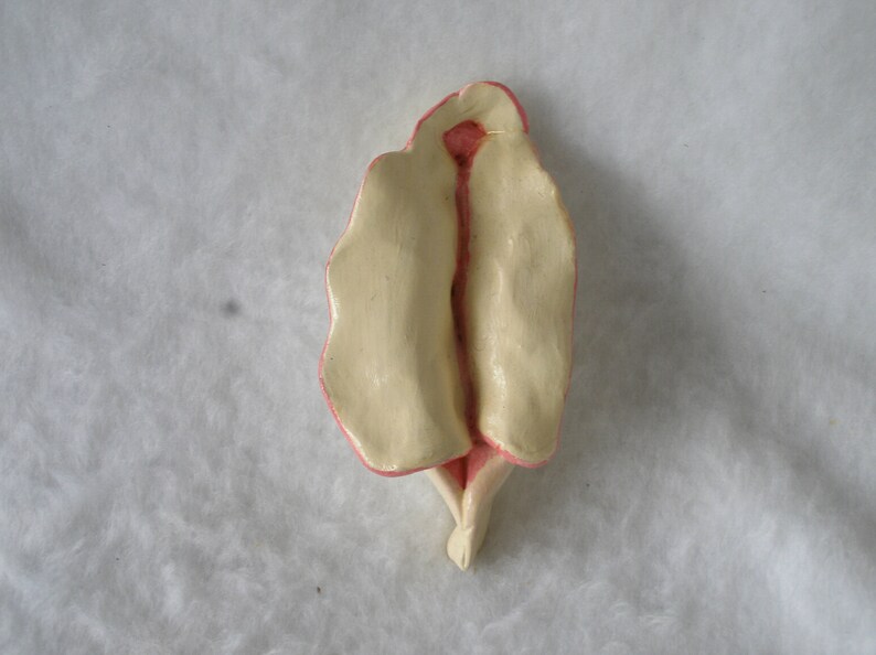 Sculpted Vulva Painted Scandinavian With Pink Highlights 202 - Etsy