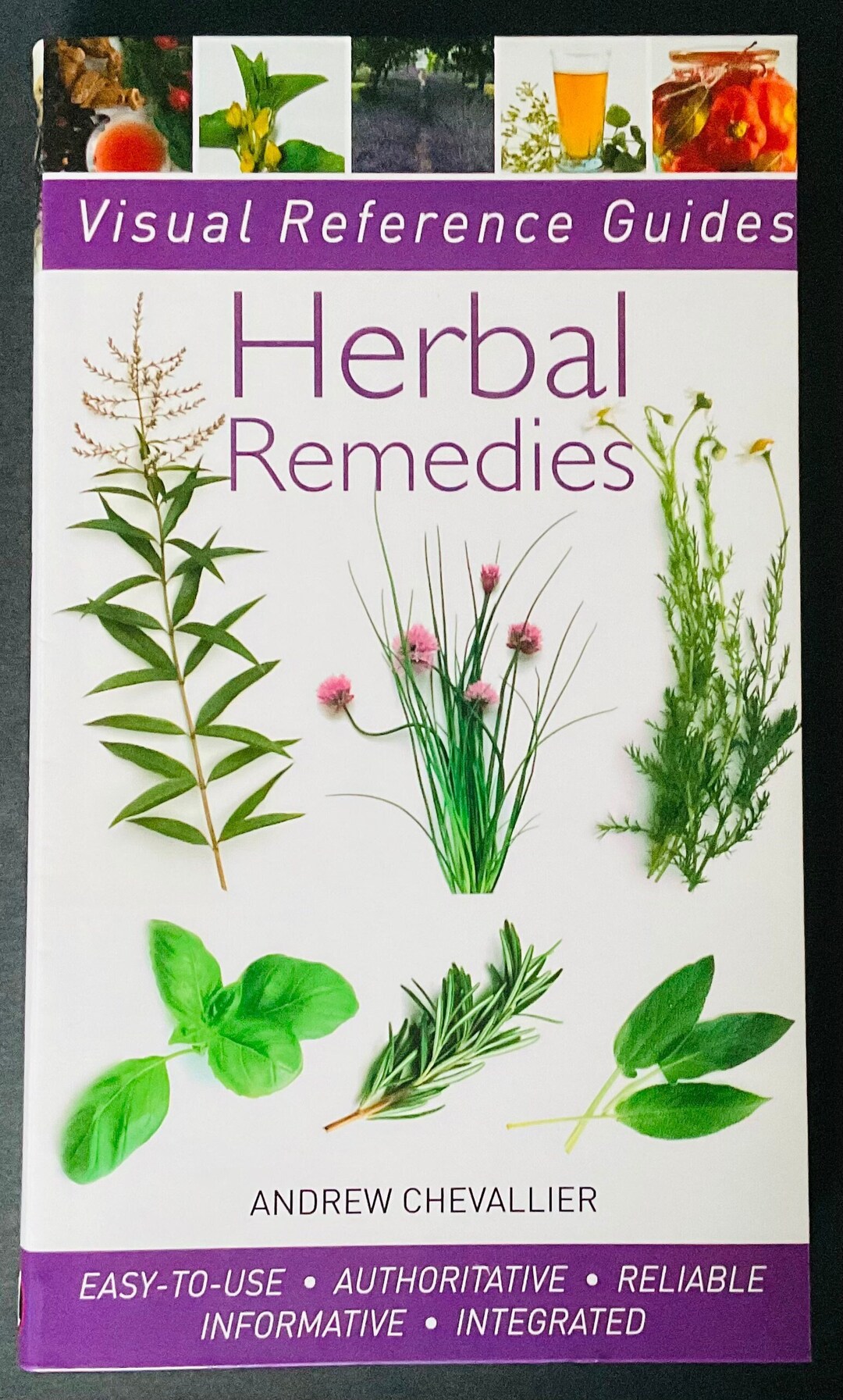 Beautifully Illustrated Visual Reference Guides Herbal Remedies by ...