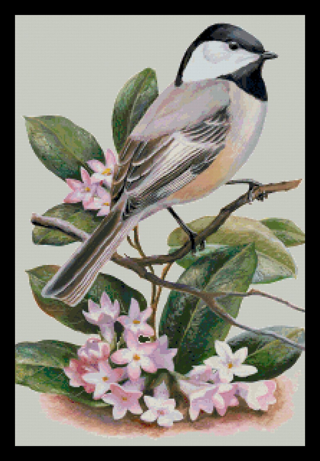 Large BLACK CAPPED CHICKADEE Cross Stitch Pattern (approx. 10.25"x 14. ...