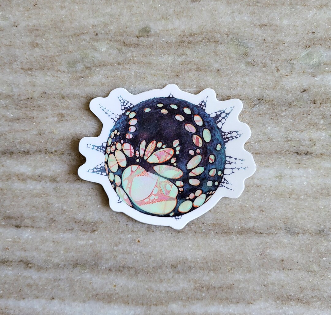 Arcane Anomaly Vinyl Sticker, Matte Finish - Etsy