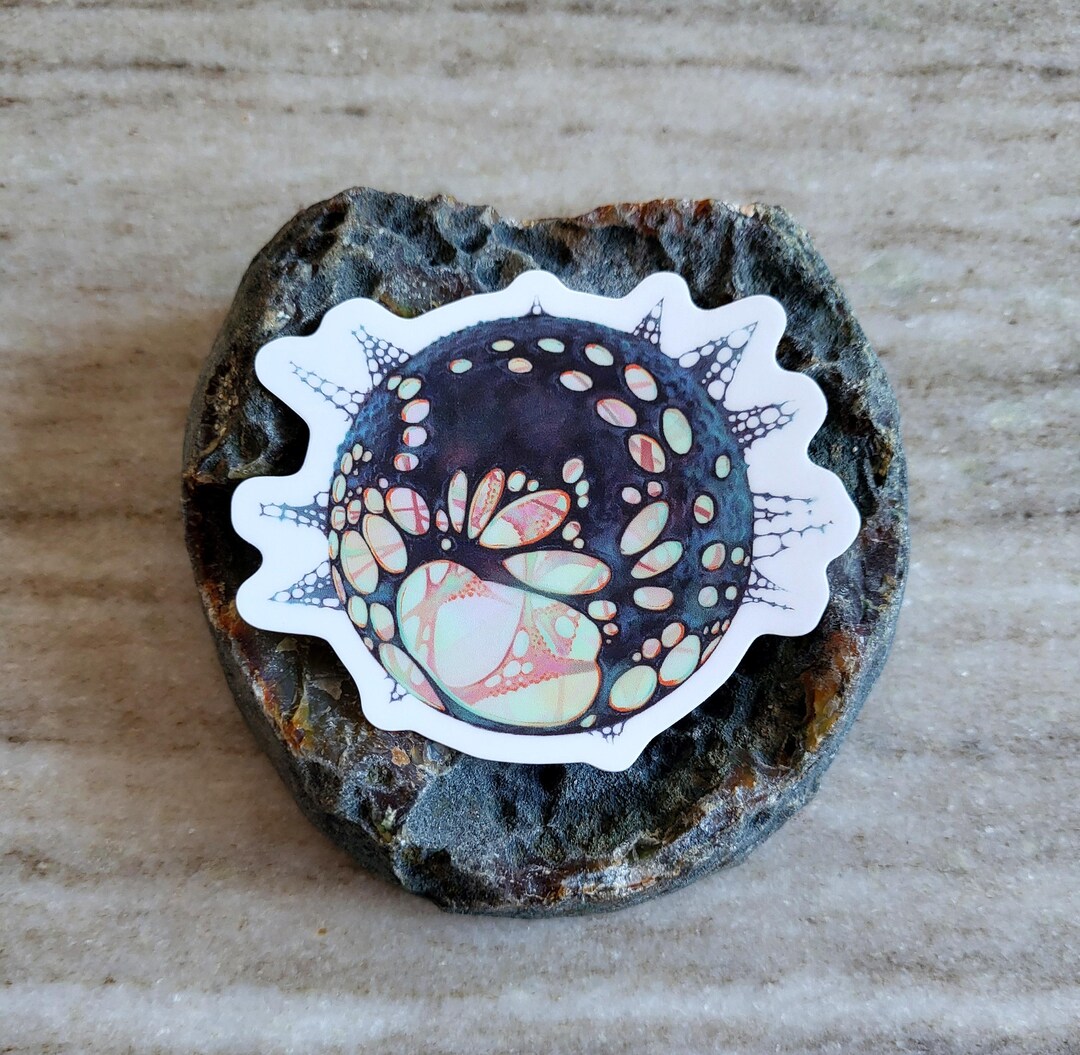 The Arcane Anomaly Vinyl Sticker - Etsy