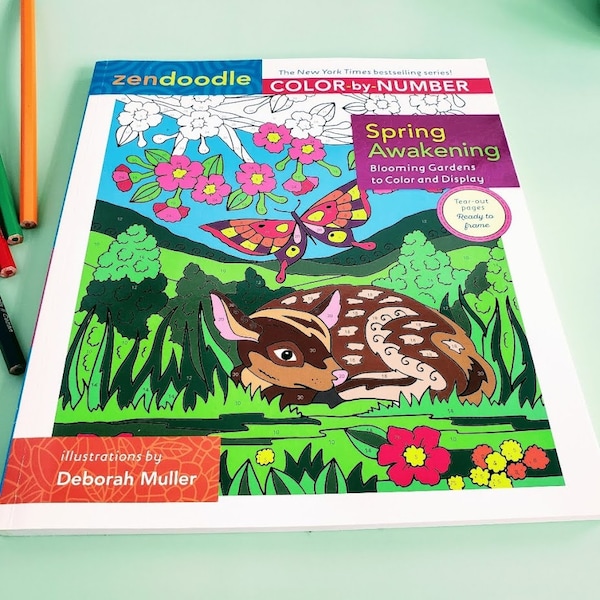 Adult Color by Number Books - Etsy