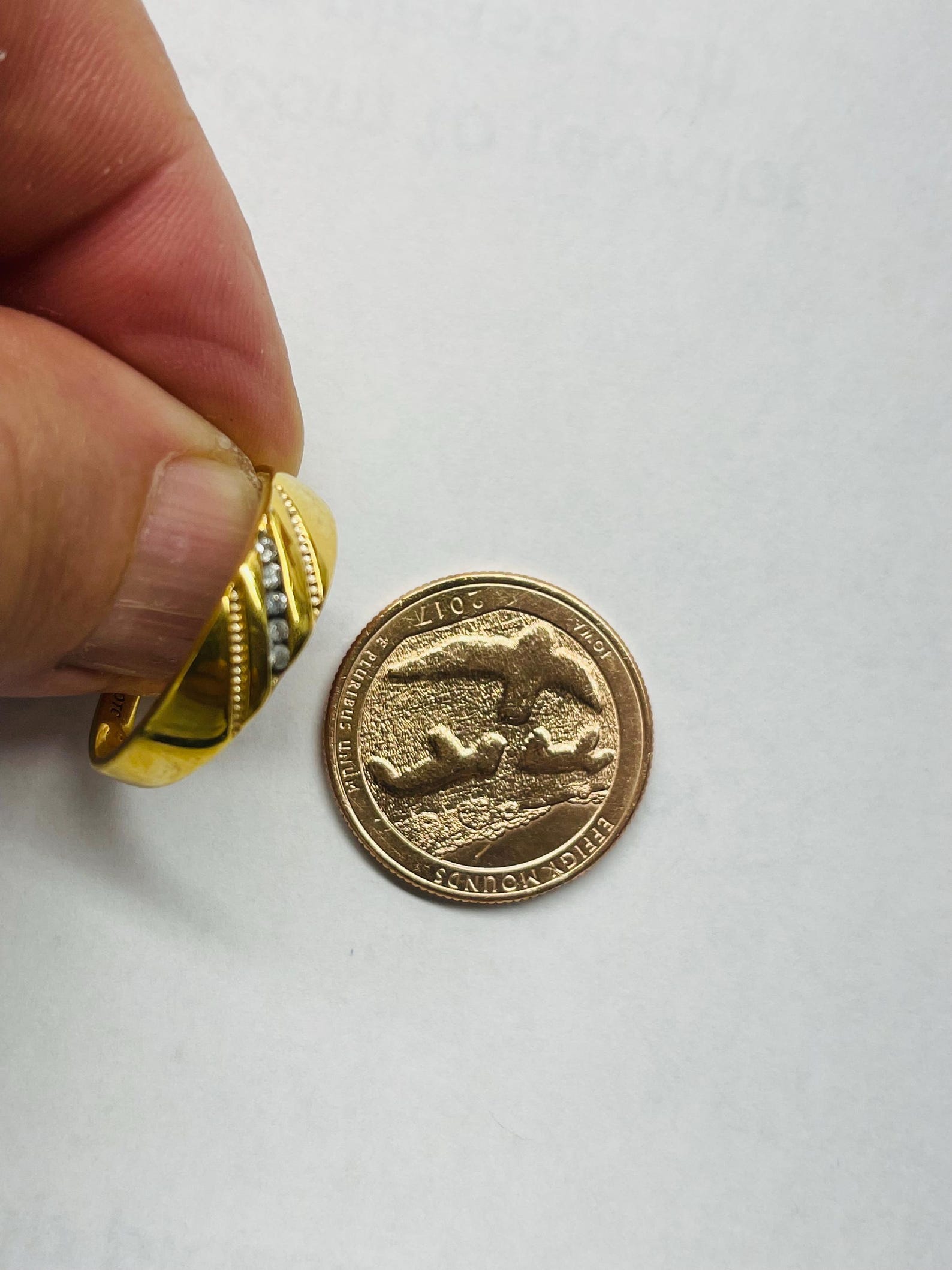 Silver Electroplating Kit: Entry Level Plating for Jewelry & Coins ...