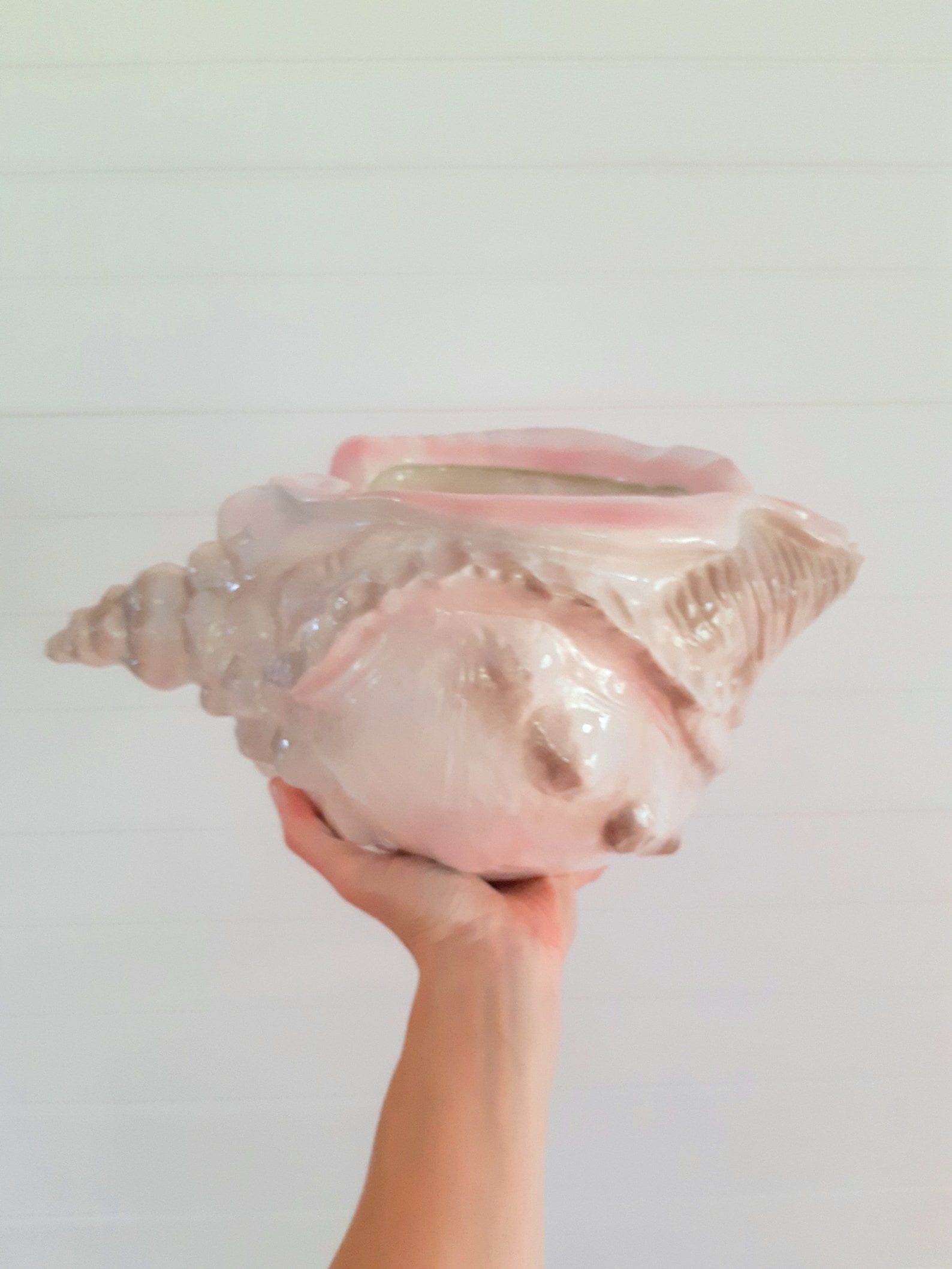 Vintage ceramic conch shell planter made by Crestomold | Etsy