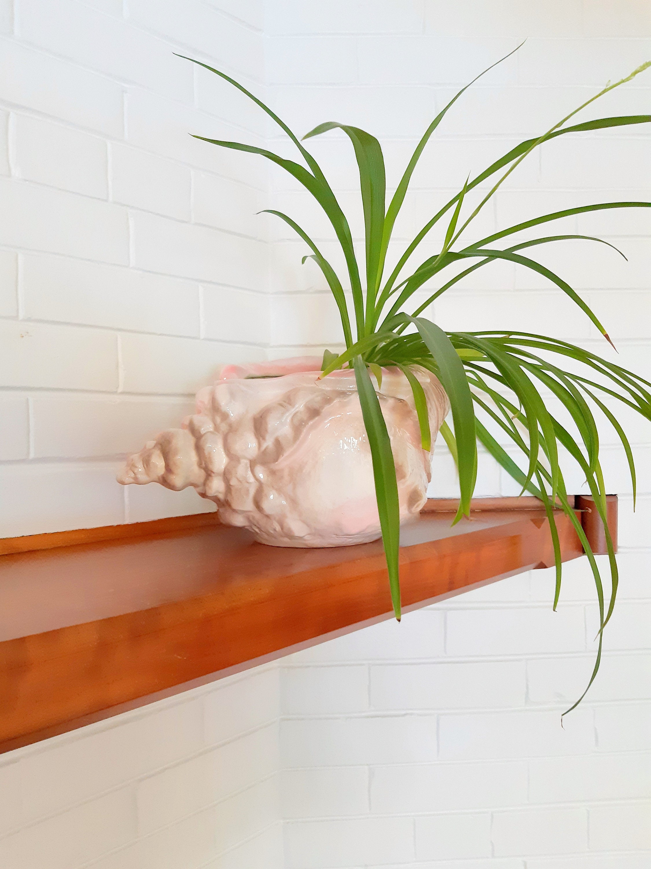 Vintage ceramic conch shell planter made by Crestomold | Etsy