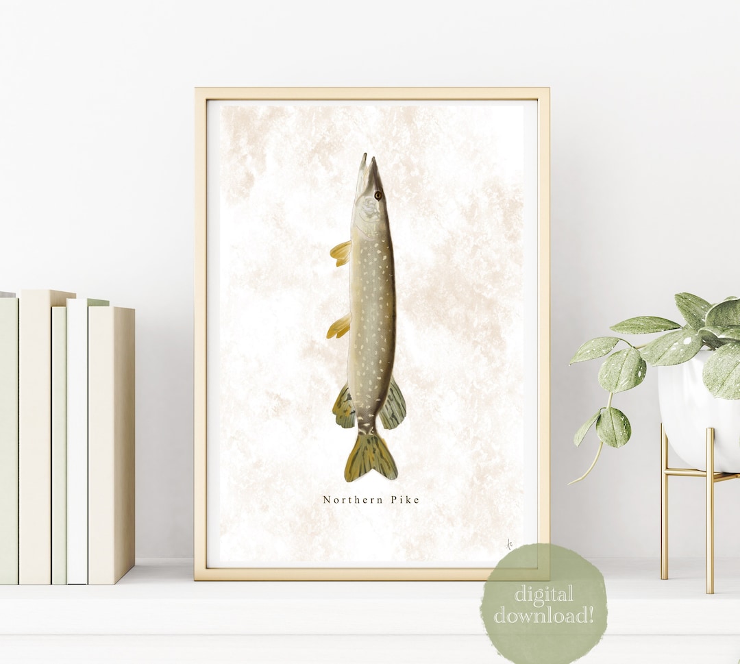 Northern Pike: Printable Wall Art, Digital Art Print Download, Fish Art ...