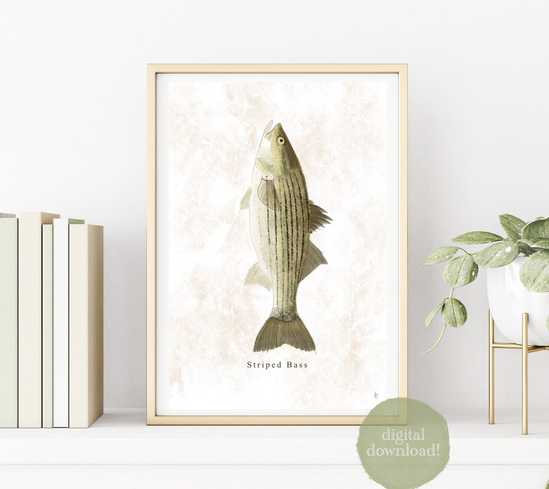 Striped Bass: Printable Wall Art, Digital Art Print Download, Fish Art ...