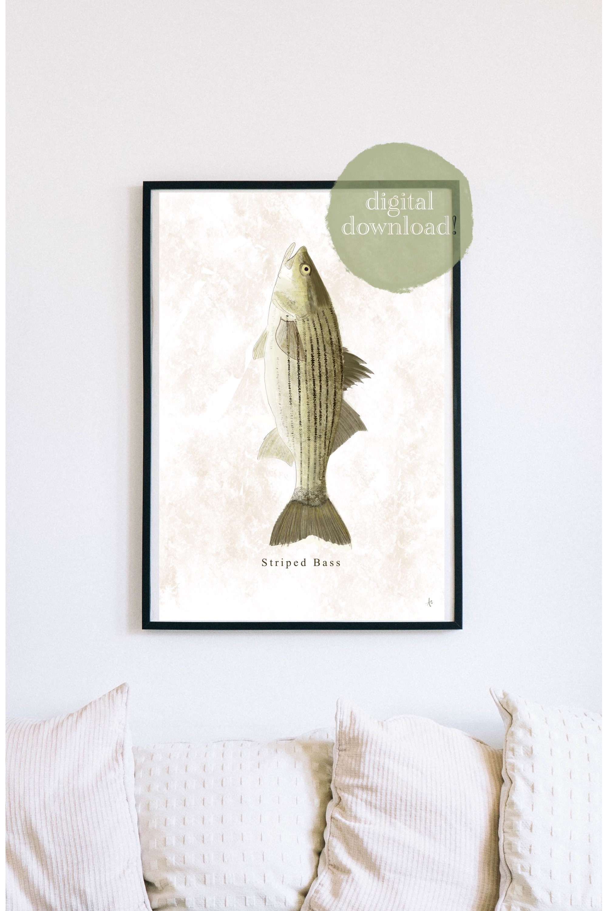 Striped Bass: Printable Wall Art, Digital Art Print Download, Fish Art ...