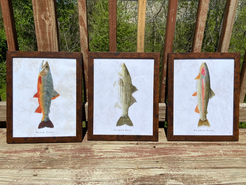 Striped Bass: Printable Wall Art, Digital Art Print Download, Fish Art ...