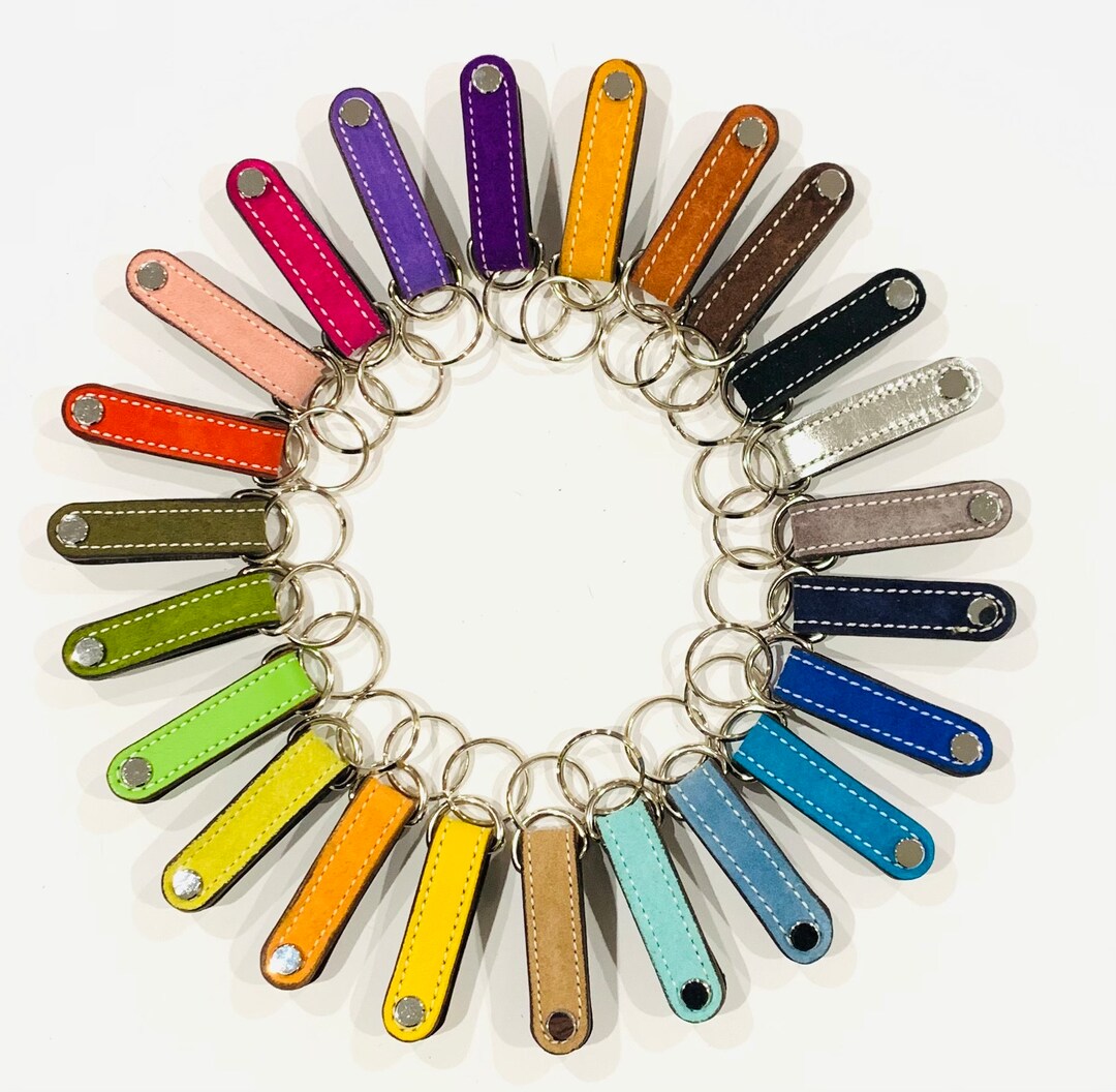 Leather Key Organizer Compact Key Holder Pocket-sized Key Chain for Men ...