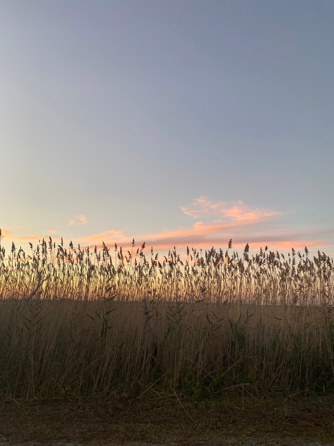 North Carolina Sunset Photography - Etsy