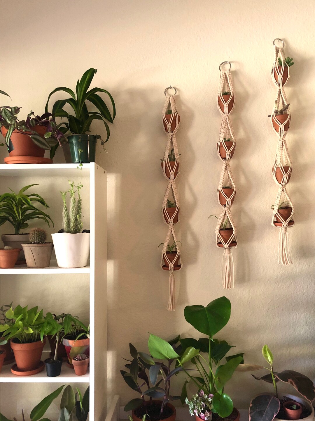 4 Tier Macrame Succulent Hanger / Wall Decor / Boho Decor / Plant Gift ...