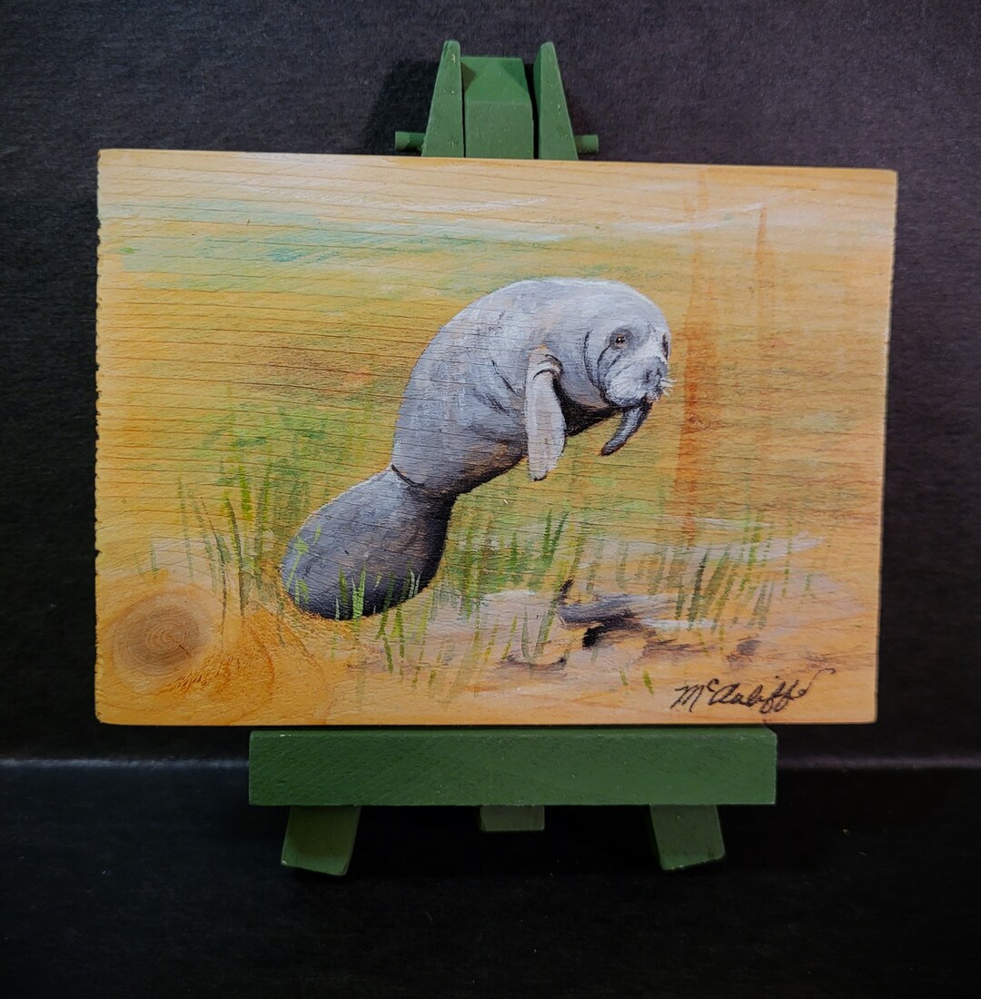 Manatee, Hand Painted, Cedar Wood, Rustic yet Elegant Miniature, 5 ...