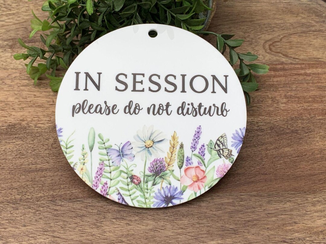In Session Sign, Please Do Not Disturb, Acrylic Office Sign, Salon or ...