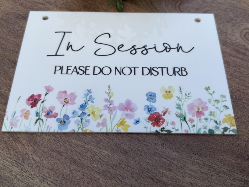 In Session Sign, Please Do Not Disturb, Printed Acrylic Door Sign ...