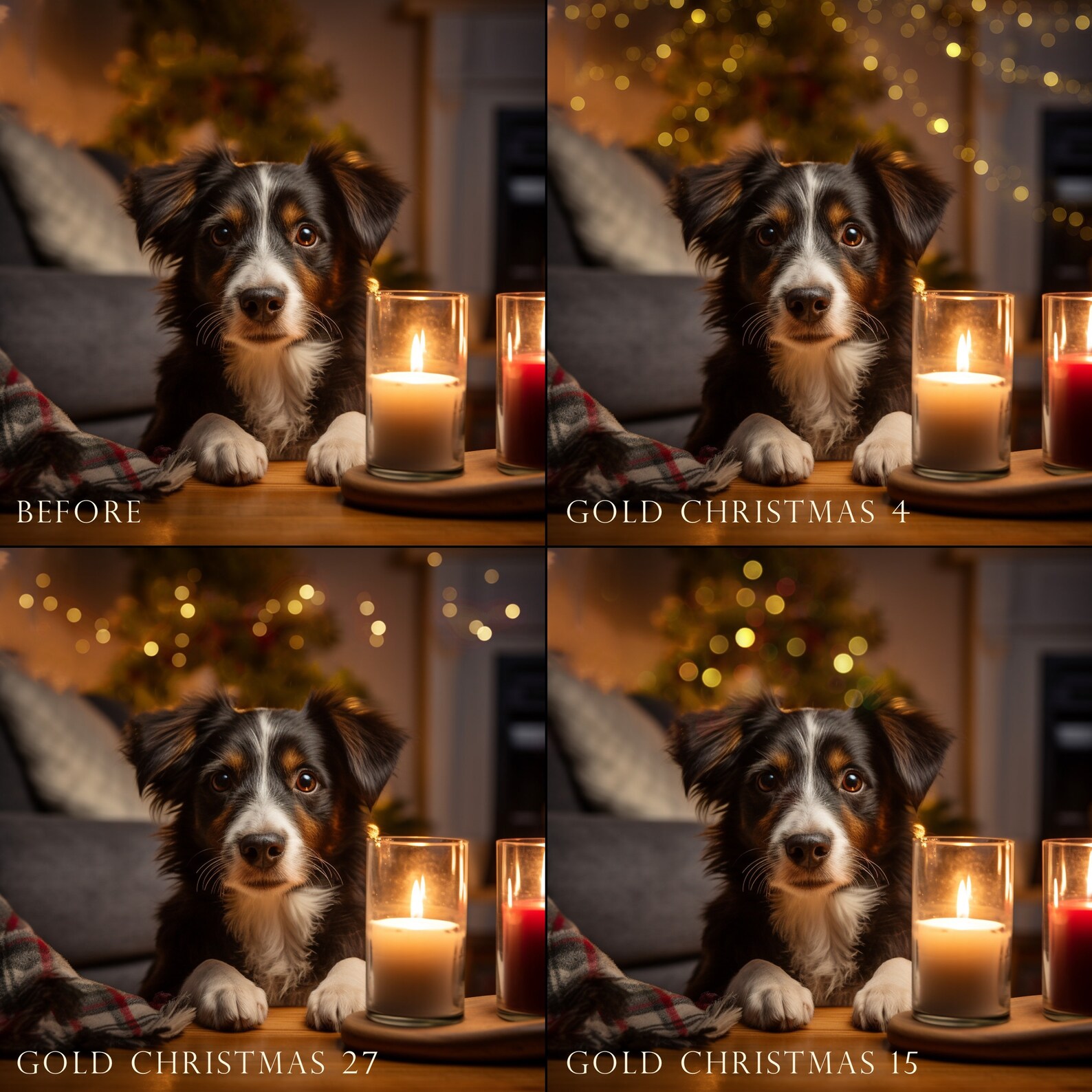 Christmas Overlays, Gold Christmas Overlays, Christmas Bokeh Overlays ...