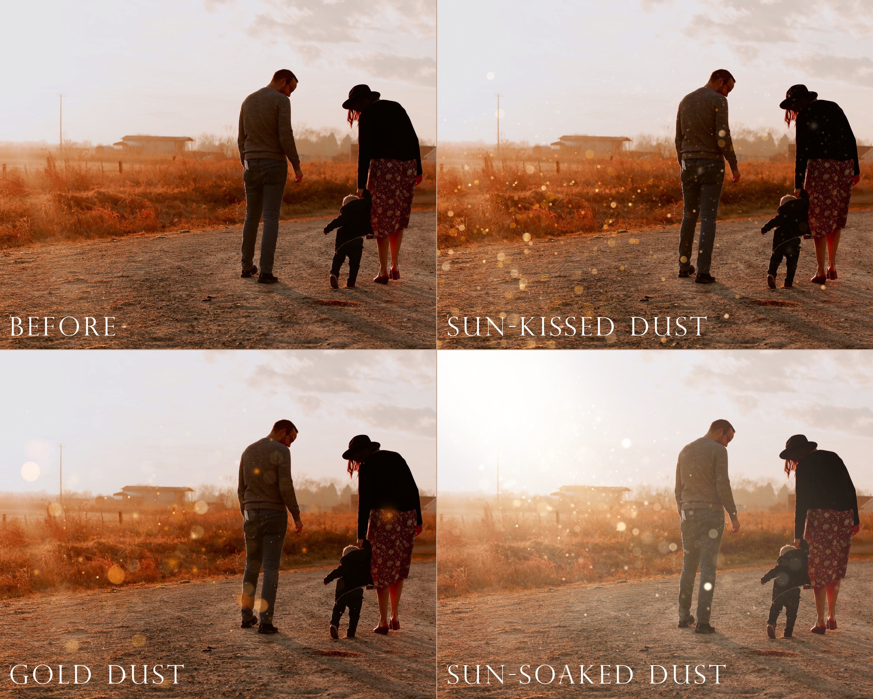 Bokeh Dust Overlay Glitter Dust Floating Dust Falling Dust - Etsy Canada