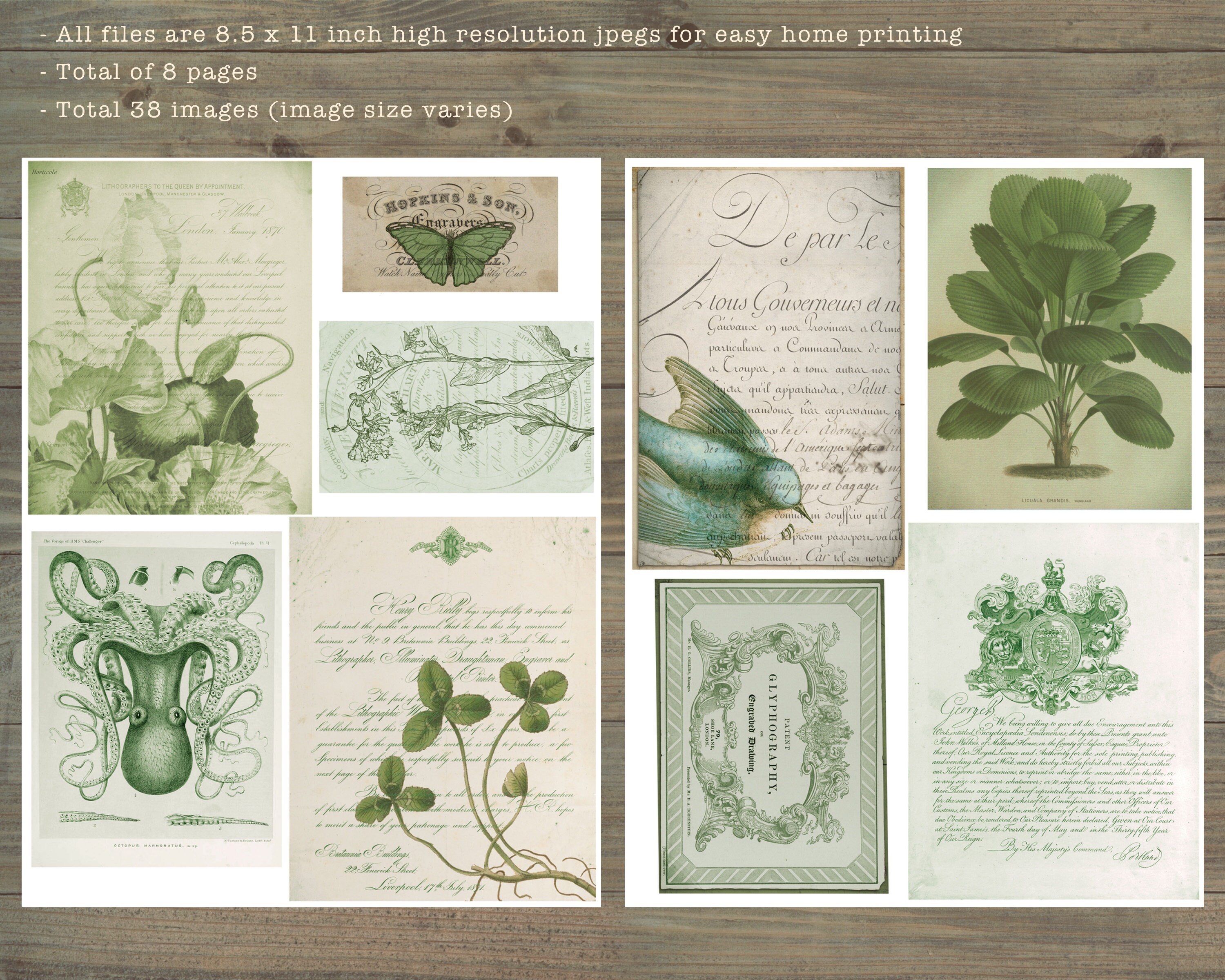 Green Junk Journal Kit Vintage Green Ephemera Greenery St. - Etsy