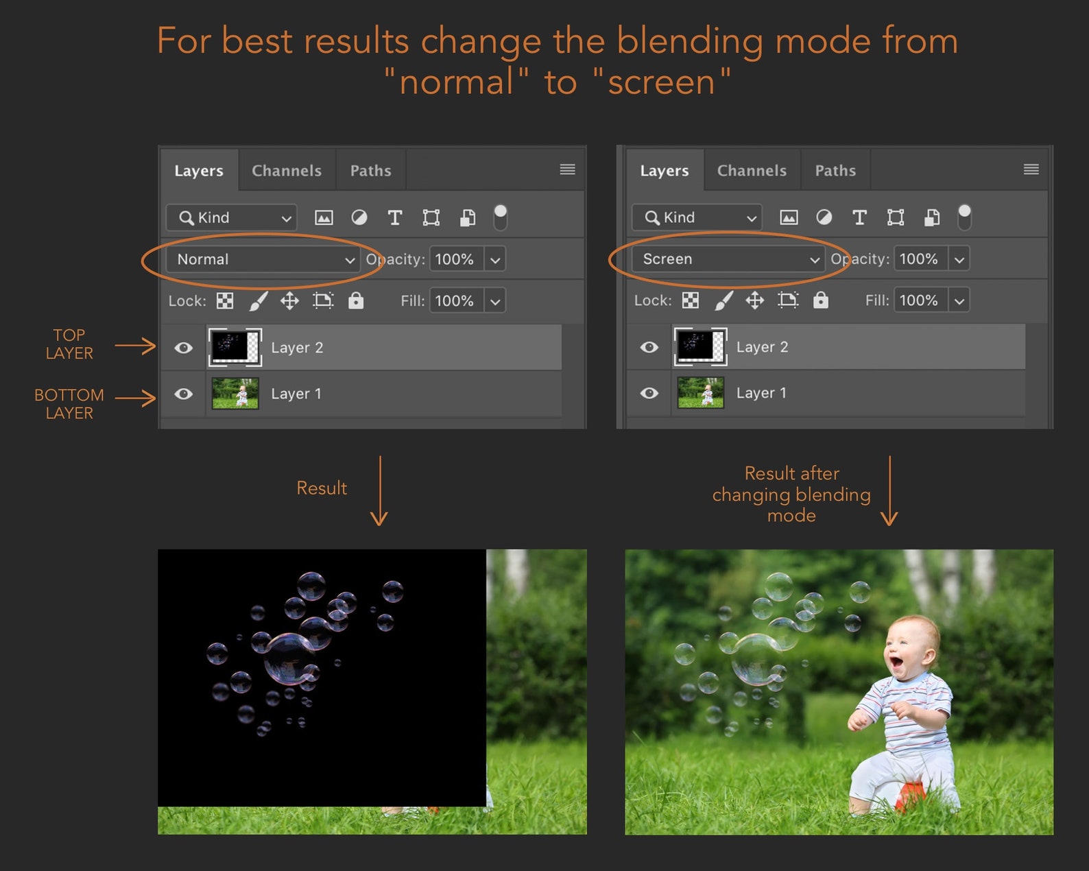 Realistic Soap Bubble Overlays Bubble Overlays Floating - Etsy