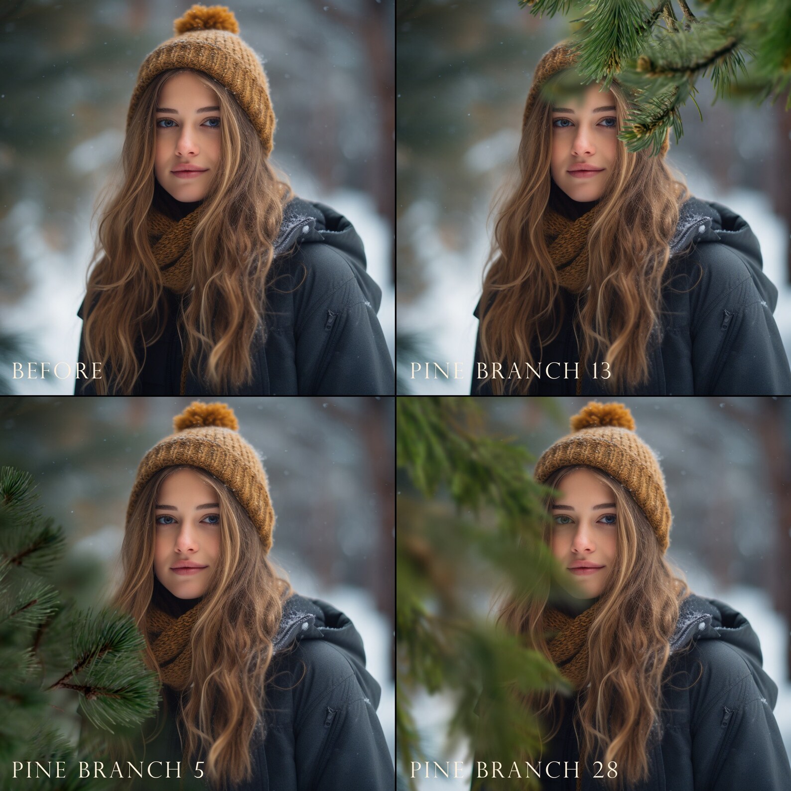 Pine Branch Overlays, Fir Branch Overlays, Leaf Png, Branch Png, Pine ...