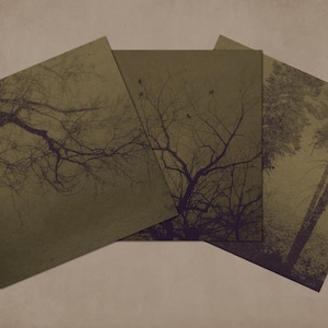 Forest Digital Paper, Halloween Digital Paper, Woods Digital Paper ...