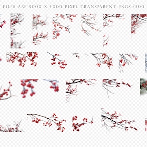 Winter Overlays, Christmas Overlays, Winterberry Overlay, Winter ...