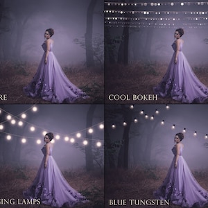 String Lights Overlay, Fairy Lights, Christmas Lights, Overlay, Clipart ...