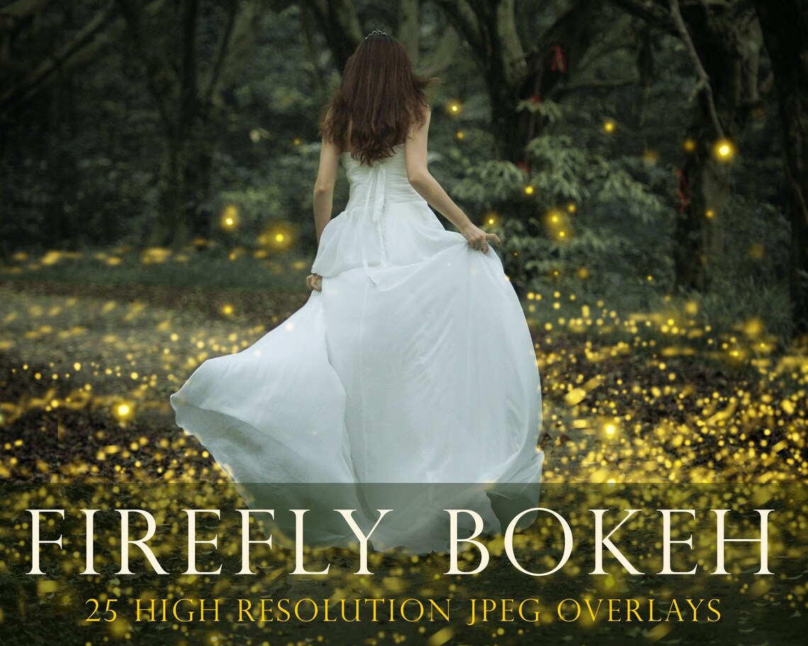 Firefly bokeh bokeh fireflies overlay overlays green | Etsy